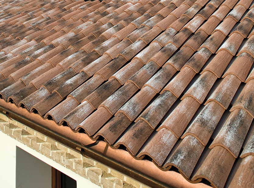 Mönch Nonne - Tradizione Antica - Lifedreams